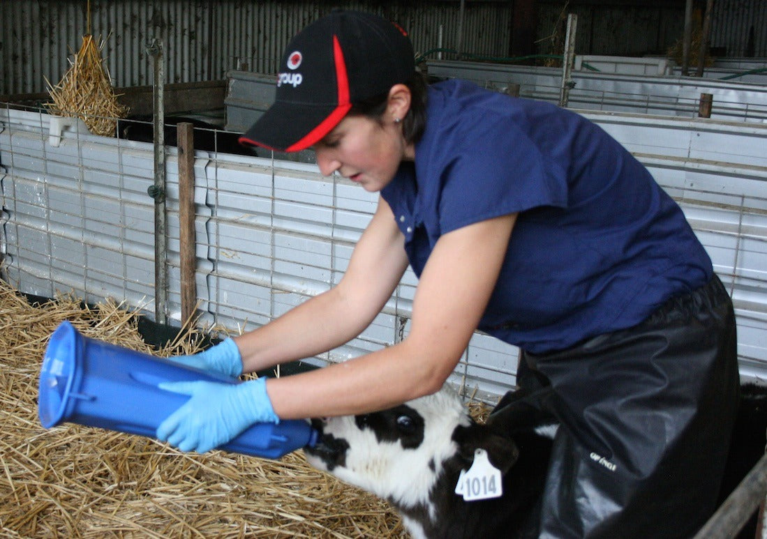 Bag Caddy for Perfect Udder Bags – The Vet Group