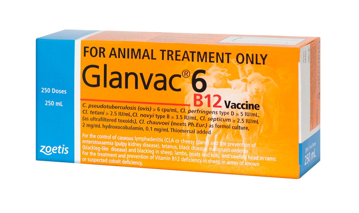 Glanvac 6 B12 250ml – The Vet Group