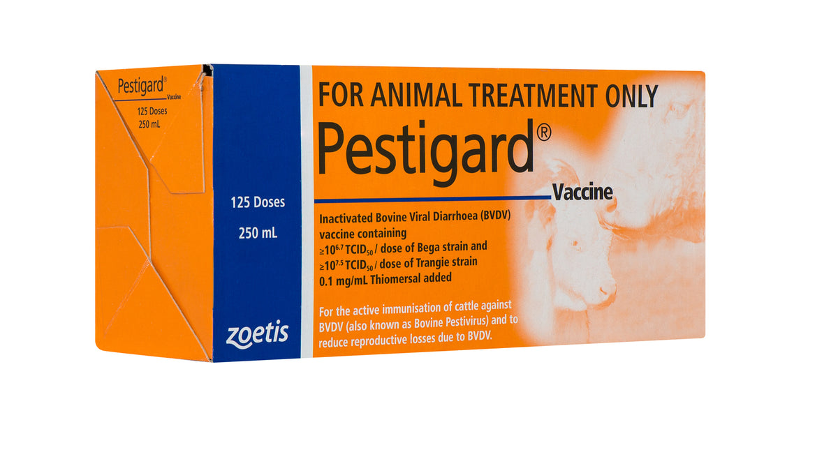 250ml Pestigard for the prevention of bovine pestivirus (BVDV) in ...